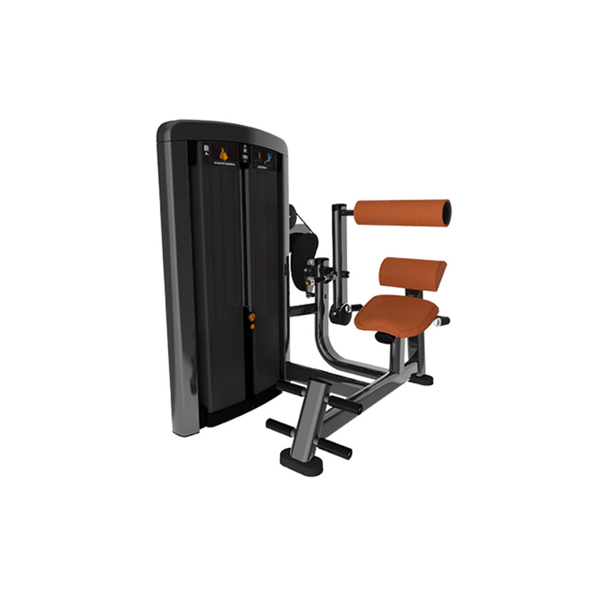 Back Extension Insignia SSBE – Life Fitness