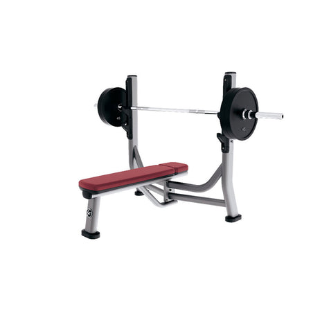 Bancos – Life Fitness